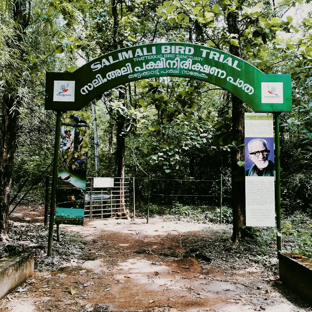 Thattekkad Bird Sanctuary - The Heaven of Bird Watchers | Thattekkad ...