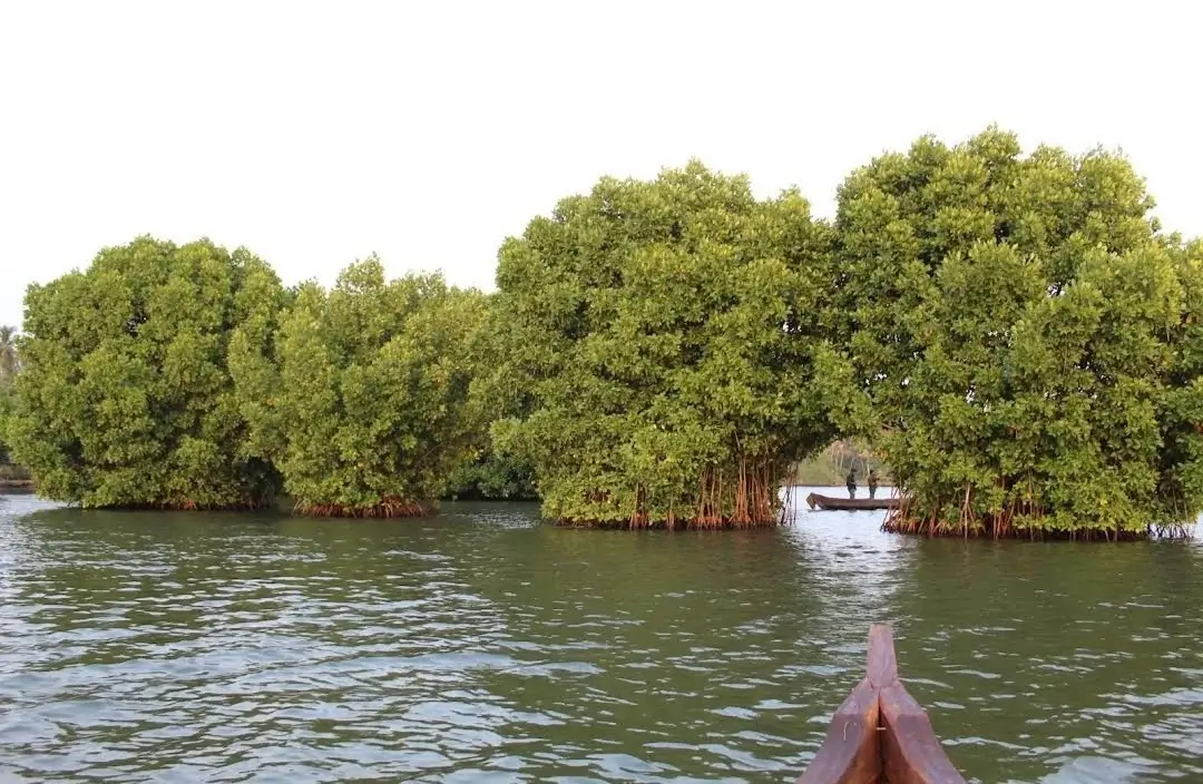 Munroe Island | 5 things to do | Backwaters | Kollam - Travel with Bee