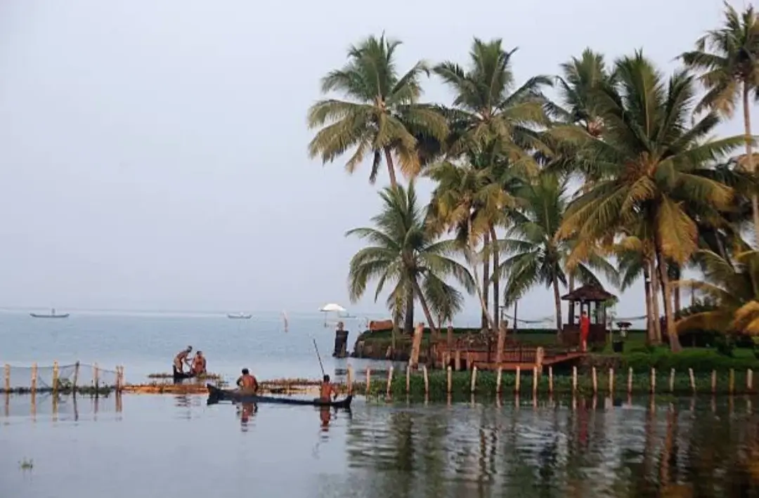 Kumarakom Backwaters: Kerala's Hidden Paradise Unveiled - Travel with Bee