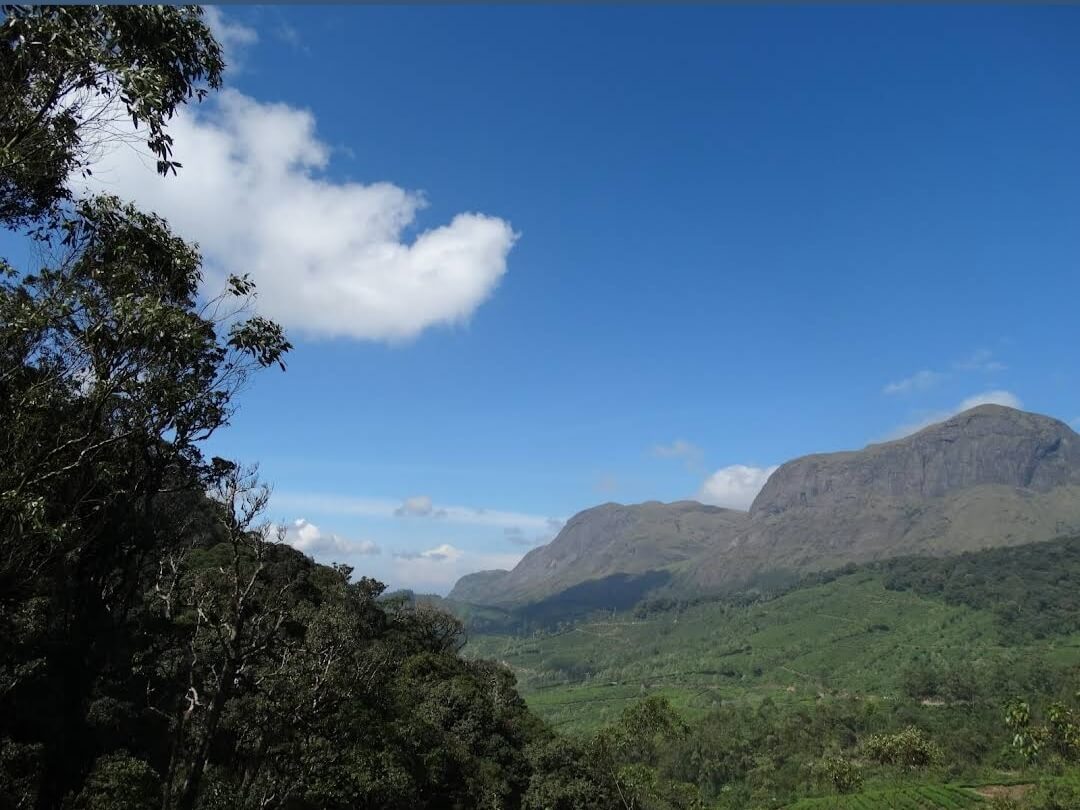 Exploring the Marvels of Chinnar Wildlife Sanctuary, Munnar: A Nature ...