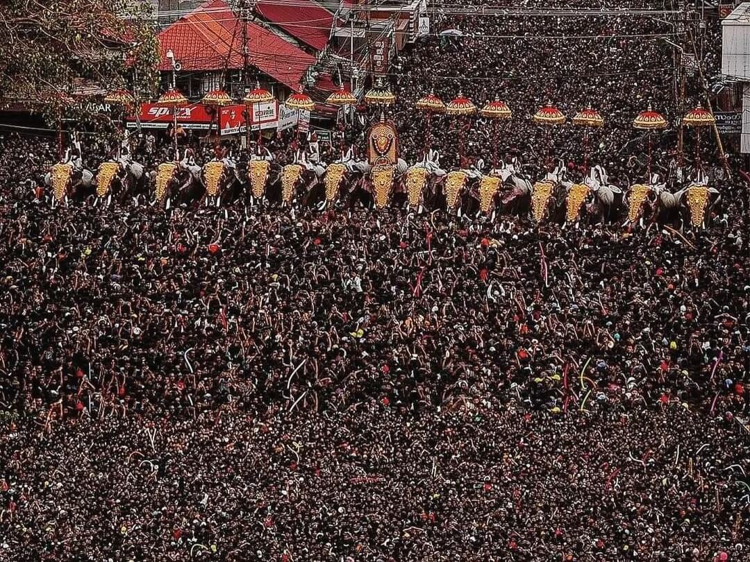 Experience the Splendor of Thrissur Pooram - Travel with Bee