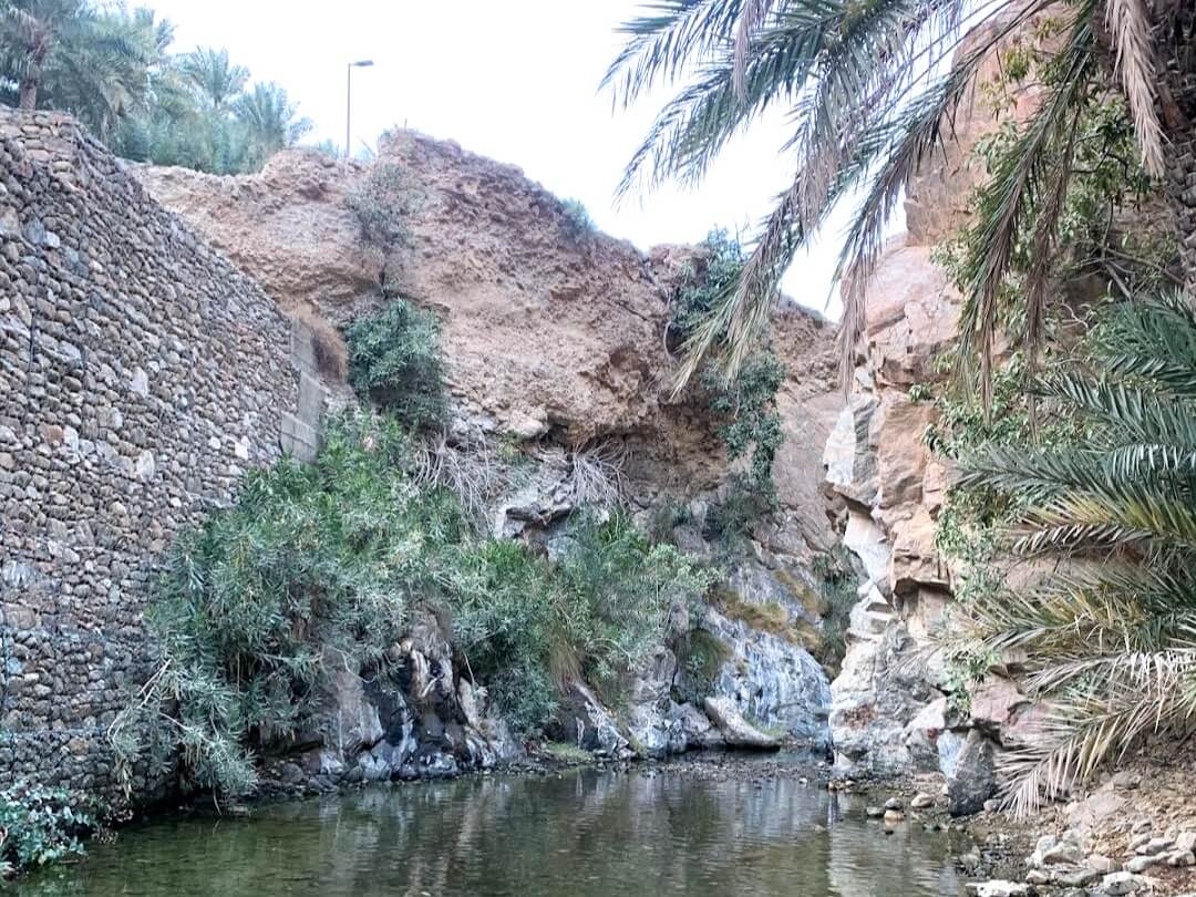Embark on Exciting Eid Holiday Road Trips in the UAE - Travel with Bee