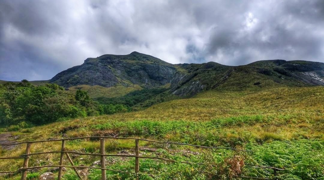 Exploring Kerala's National Parks: A Rich Tapestry of Biodiversity ...