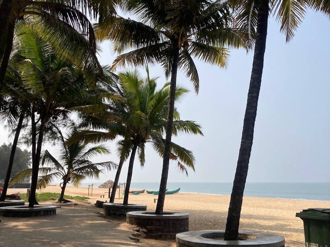 Explore India's Cleanest Beaches: Blue Flag Certified Wonders - Travel ...