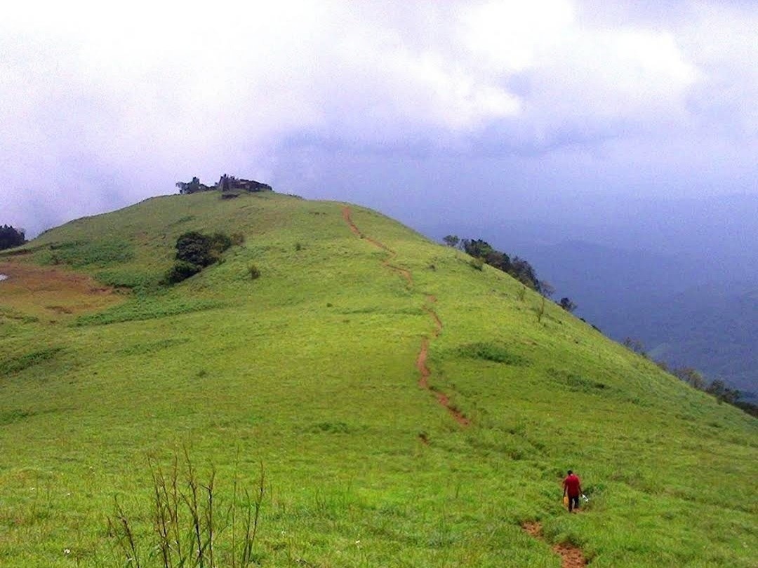 Paithalmala: Trekking Through Kerala’s Misty Paradise in Kannur ...